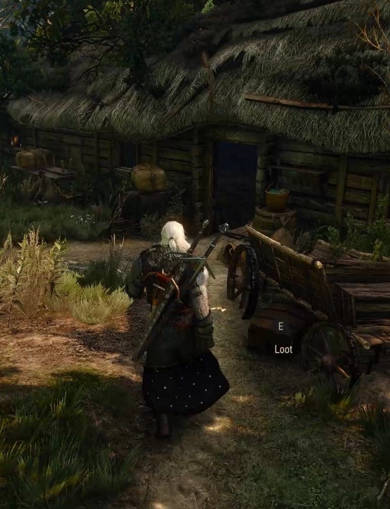 Witcher 3: Devil by the Well and Noonwraith Boss Guide - VULKK.com