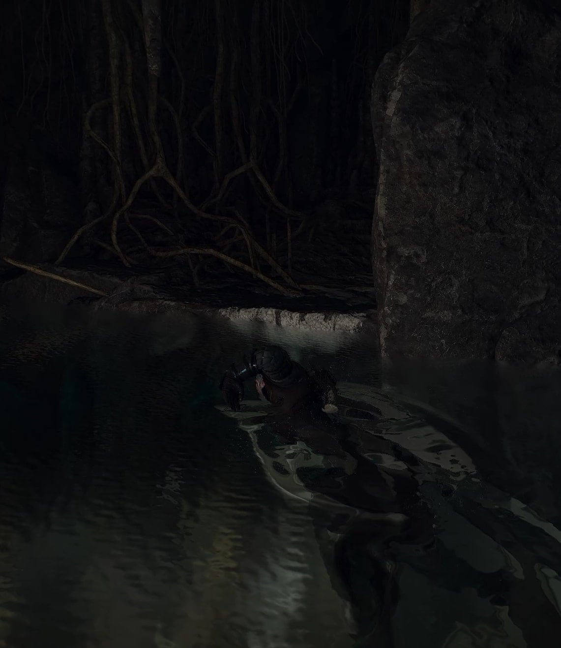 Witcher 3: Devil by the Well and Noonwraith Boss Guide - VULKK.com