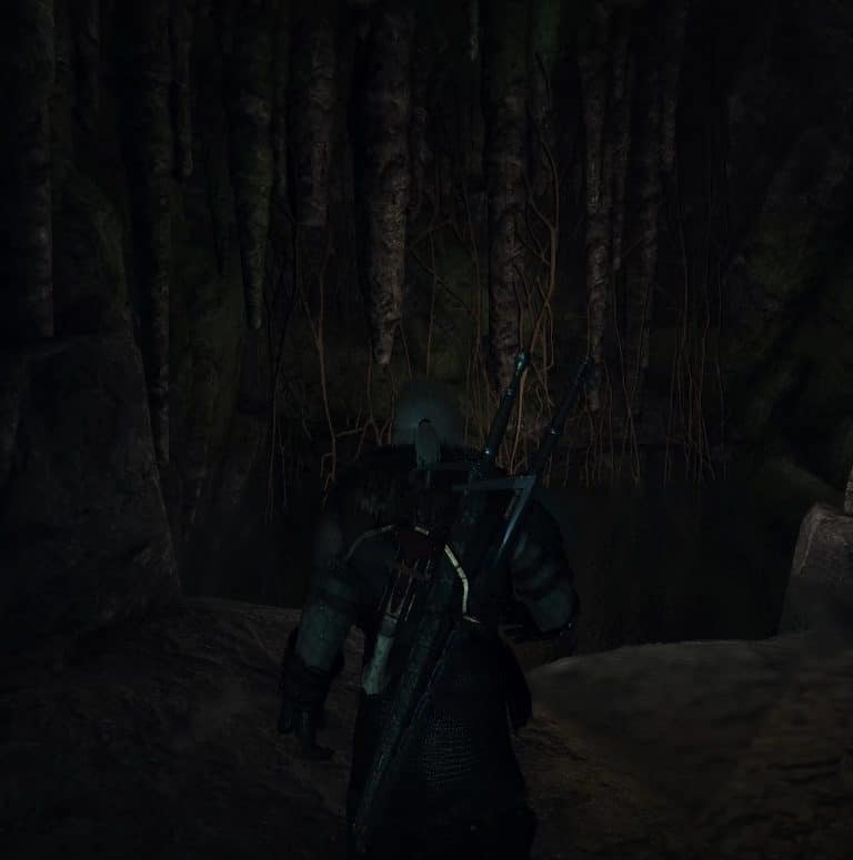 Witcher 3: Devil by the Well and Noonwraith Boss Guide - VULKK.com