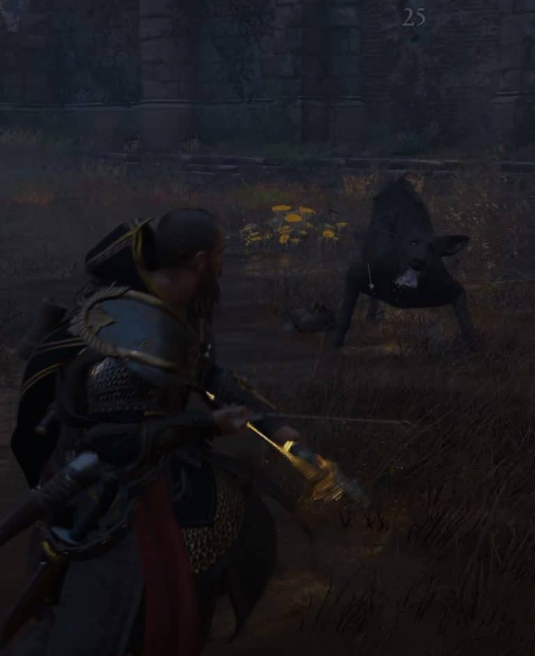 Assassin's Creed Valhalla Legendary Animals Guide - VULKK.com