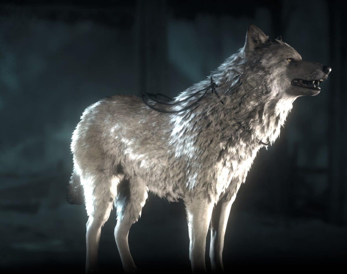 Assassin's Creed Valhalla Starter Guide and Tips for New Players ...