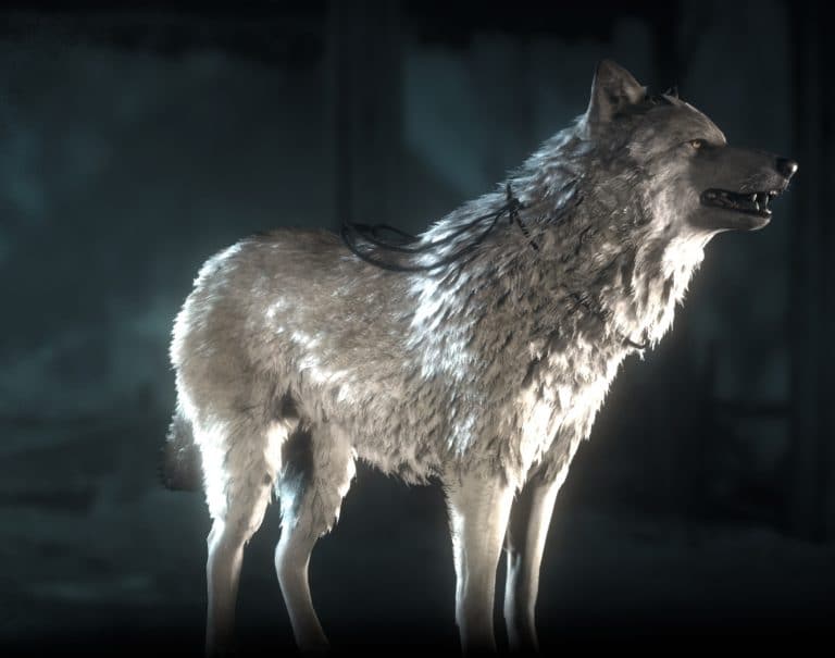 Assassin's Creed Valhalla Ultimate Pack Overview - VULKK.com