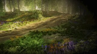 New World Settings and UI Guide: what should you change - VULKK.com