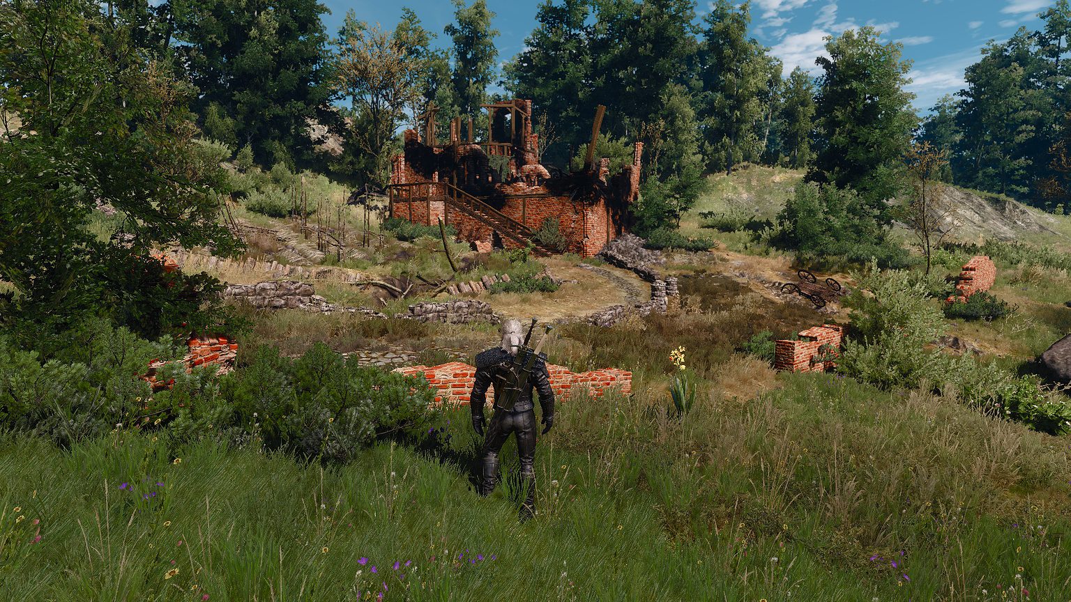 How to get the Enhanced Feline Gear in The Witcher 3 (Cat School Set ...