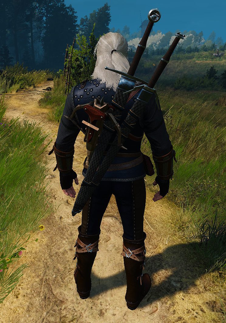 How to get the Enhanced Feline Gear in The Witcher 3 (Cat School Set ...