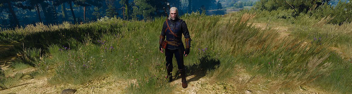 How to get the Enhanced Feline Gear in The Witcher 3 (Cat School Set ...