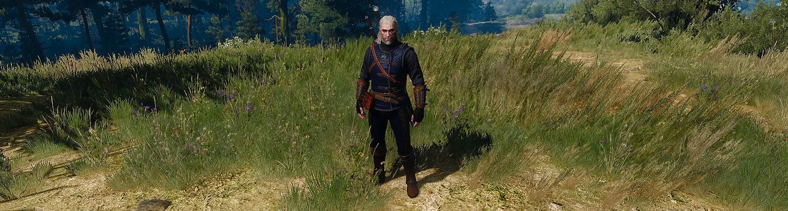 How to get the Enhanced Feline Gear in The Witcher 3 (Cat School Set ...
