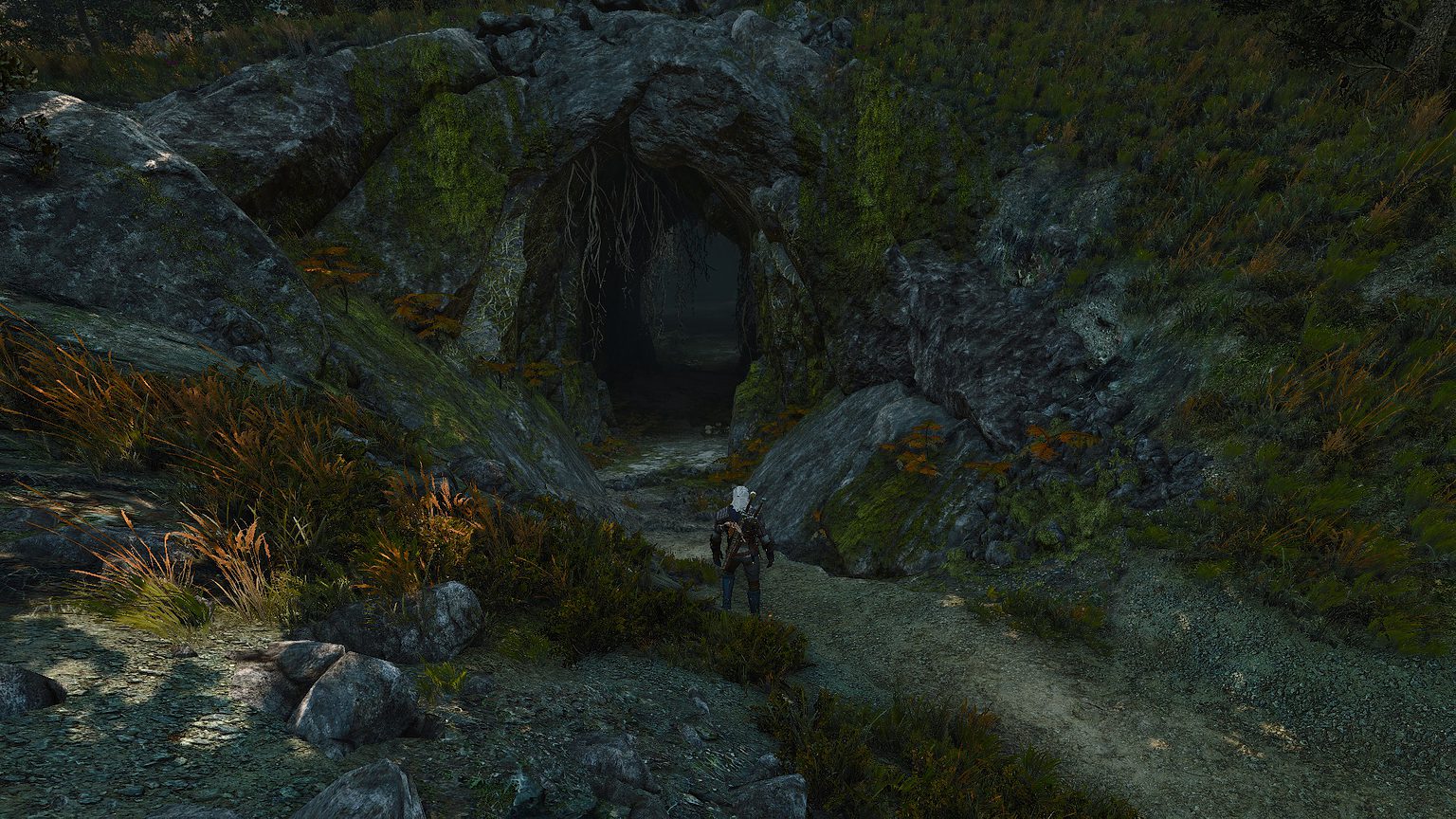 How to get the Enhanced Feline Gear in The Witcher 3 (Cat School Set ...