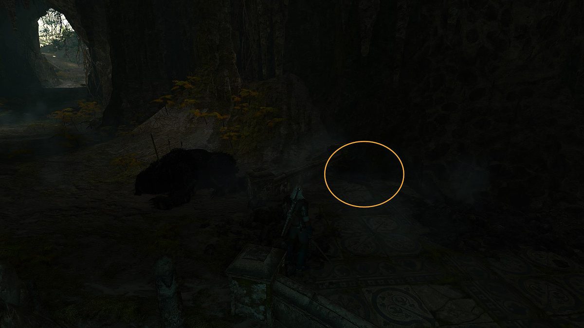 How to get the Enhanced Feline Gear in The Witcher 3 (Cat School Set ...