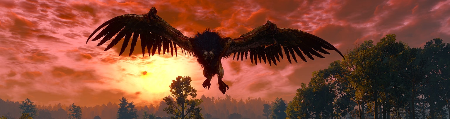 How to defeat the Royal Griffin in The Witcher 3 - VULKK.com