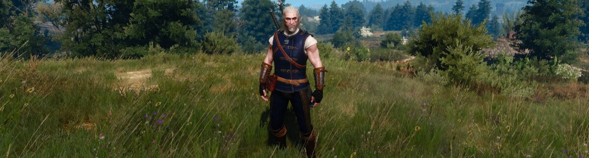 How to get the Feline Gear in The Witcher 3 (Cat School Set) - VULKK.com