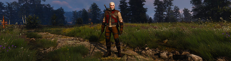 How to get the Wolf School Gear in The Witcher 3 - VULKK.com