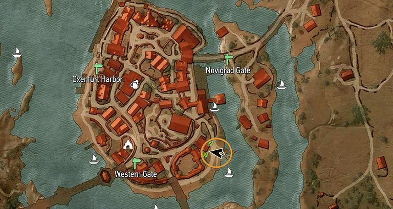 How to get the Enhanced Feline Gear in The Witcher 3 (Cat School Set ...