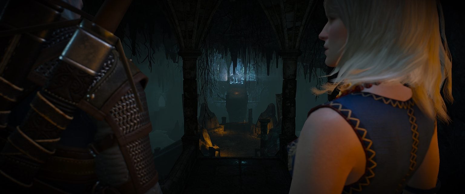 The Witcher 3: Wandering in the Dark Walkthrough - VULKK.com