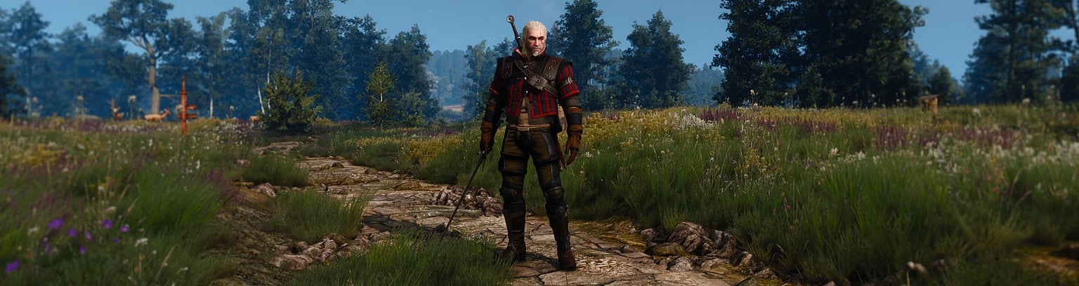 How to get the Superior Wolven Gear in The Witcher 3 (Wolf School Set ...