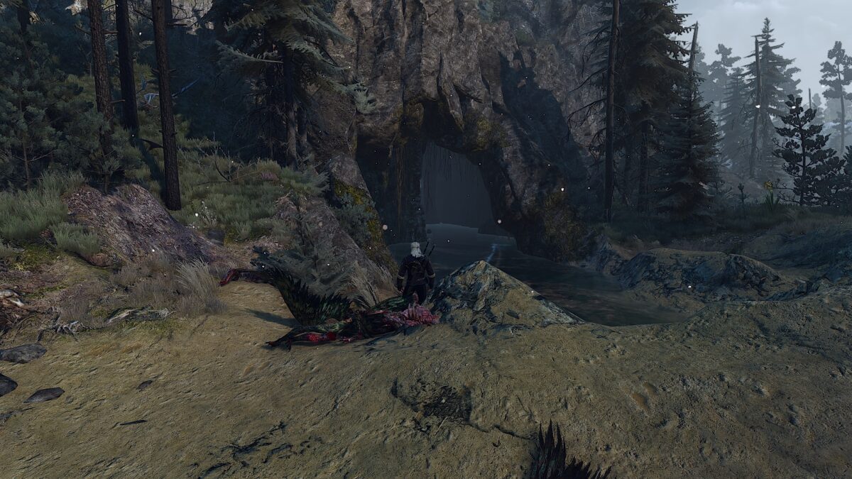 How to get the Mastercrafted Feline Gear in The Witcher 3 (Cat School ...