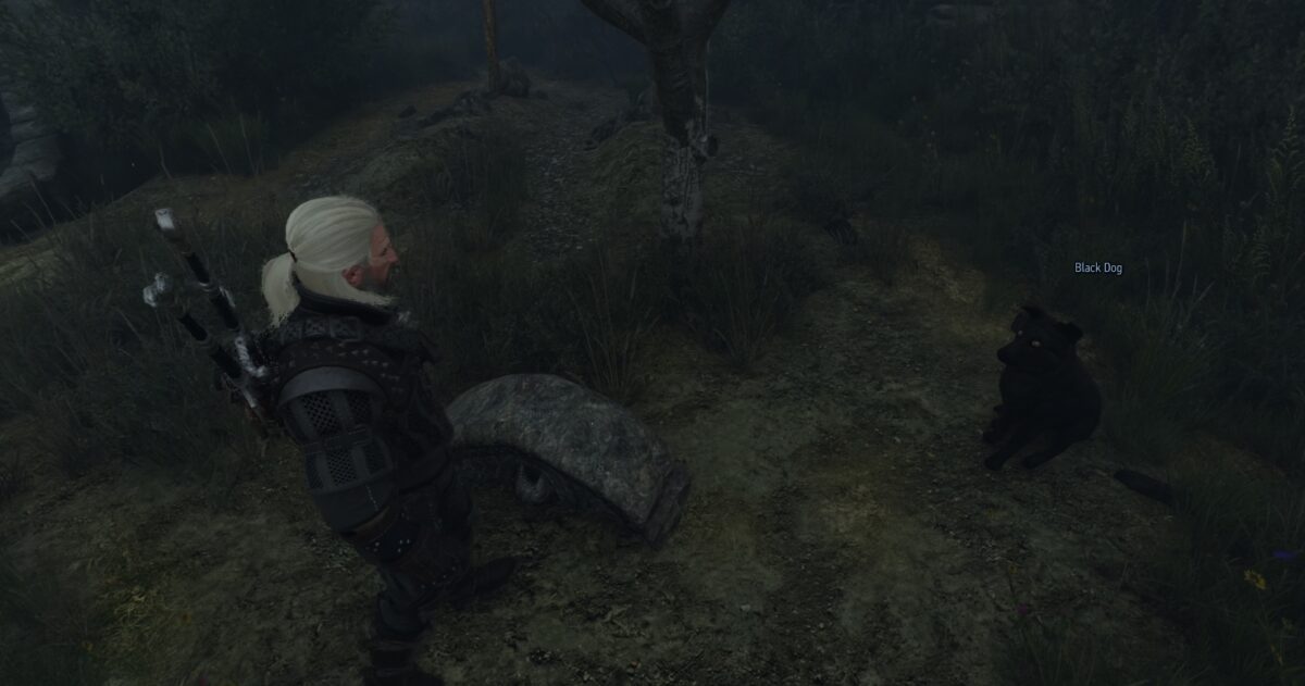 The Witcher 3: Scenes from a Marriage Walkthrough - VULKK.com