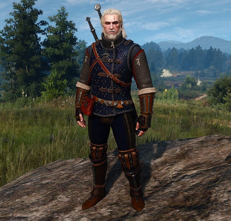 How to get the Superior Feline Gear in The Witcher 3 (Cat School Set ...