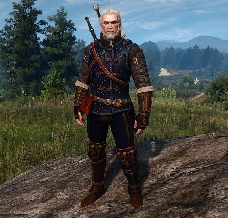 How to get the Superior Feline Gear in The Witcher 3 (Cat School Set ...