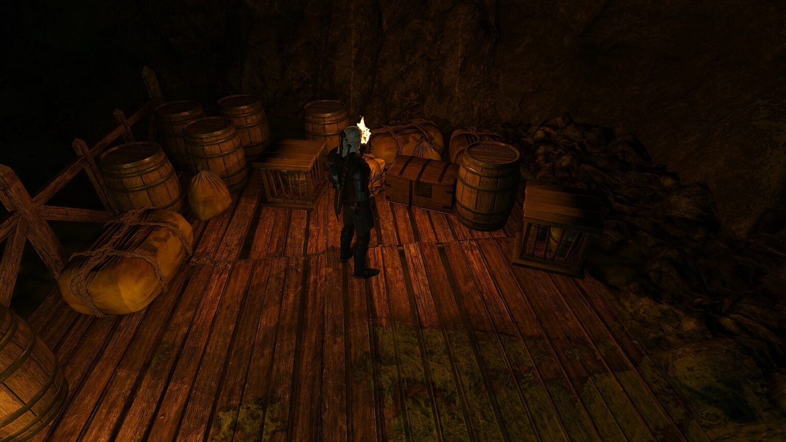 How to get the Superior Feline Gear in The Witcher 3 (Cat School Set ...