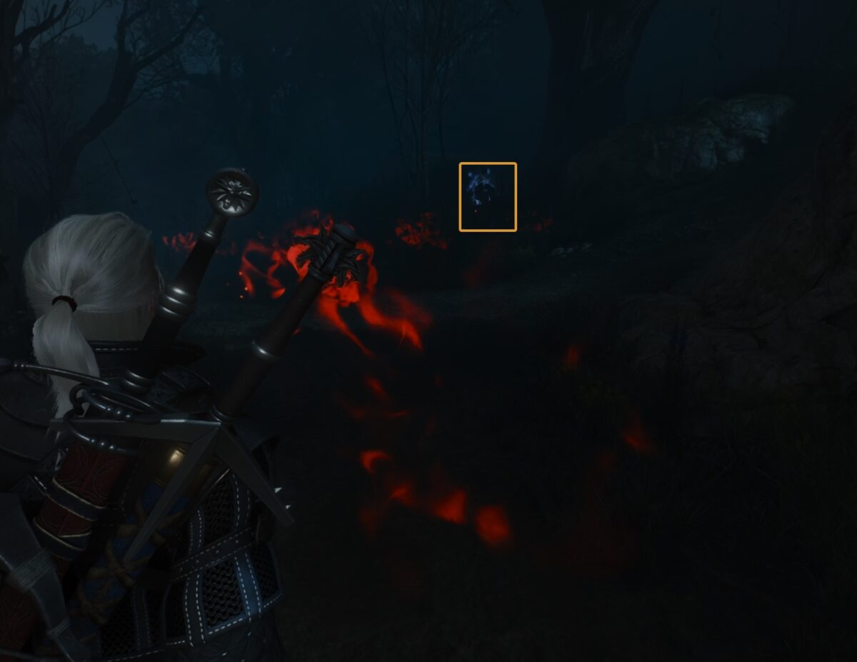 The Witcher 3 La Cage au Fou Guide: How to save the Wight - VULKK.com