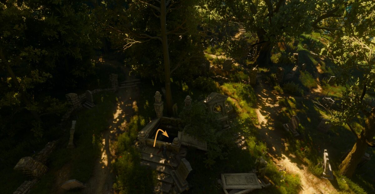 The Witcher 3 La Cage au Fou Guide: How to save the Wight - VULKK.com