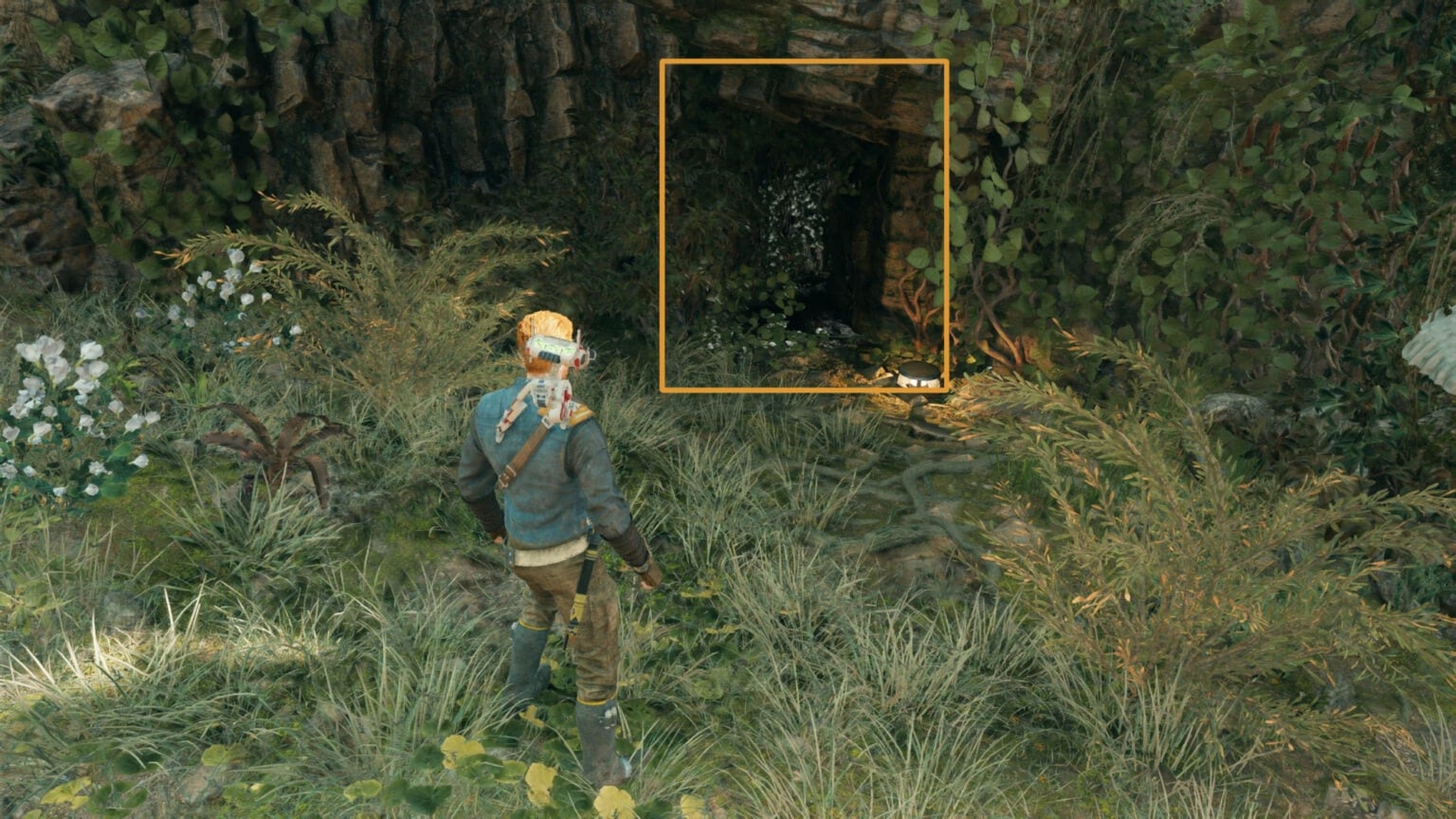 Jedi Survivor Forest Array Guide to 100% - VULKK.com