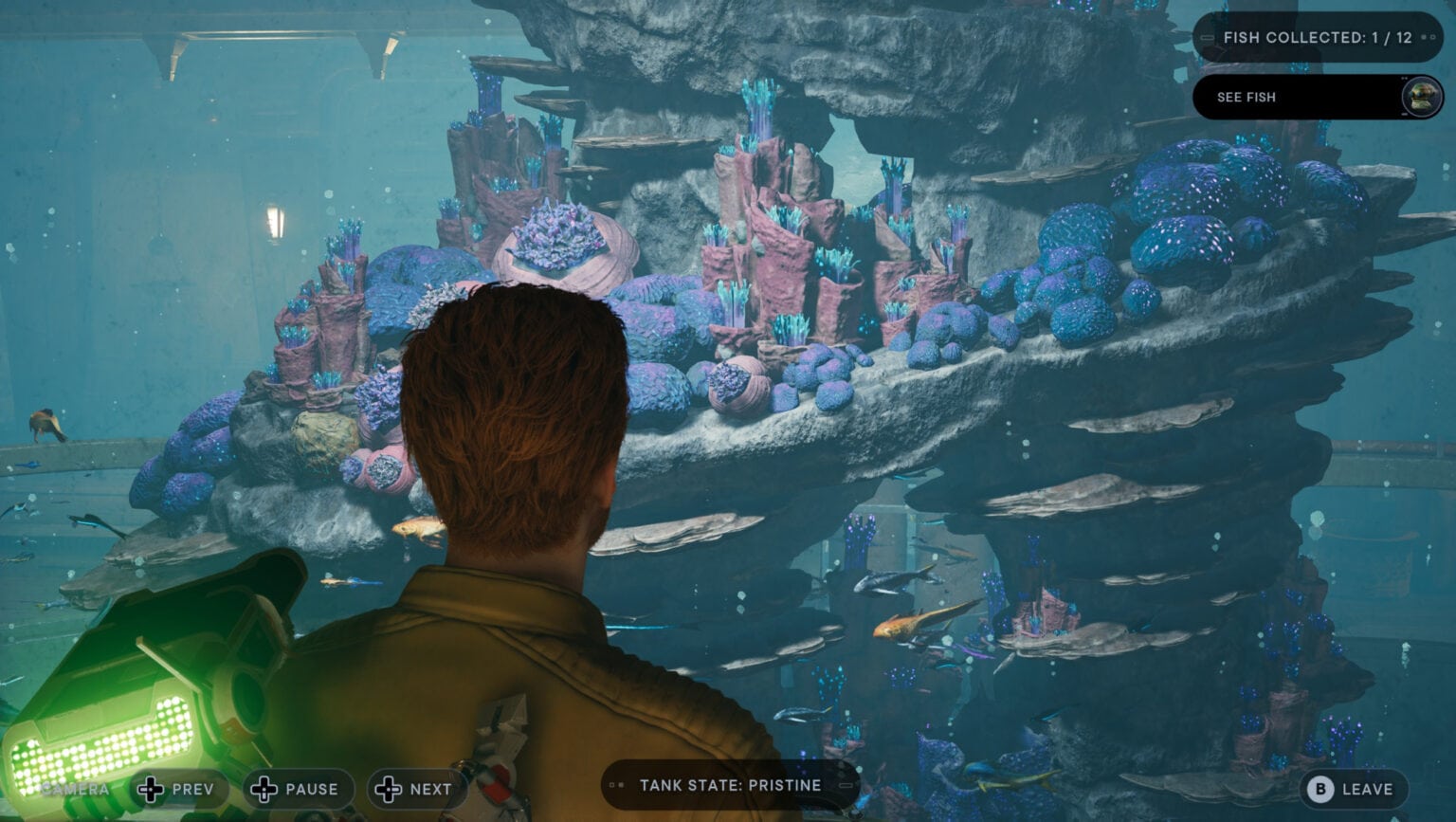 All Fish Locations in Star Wars Jedi: Survivor - VULKK.com