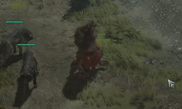 Diablo 4 Druid Leveling Build Guide: Friends of the Forest - VULKK.com