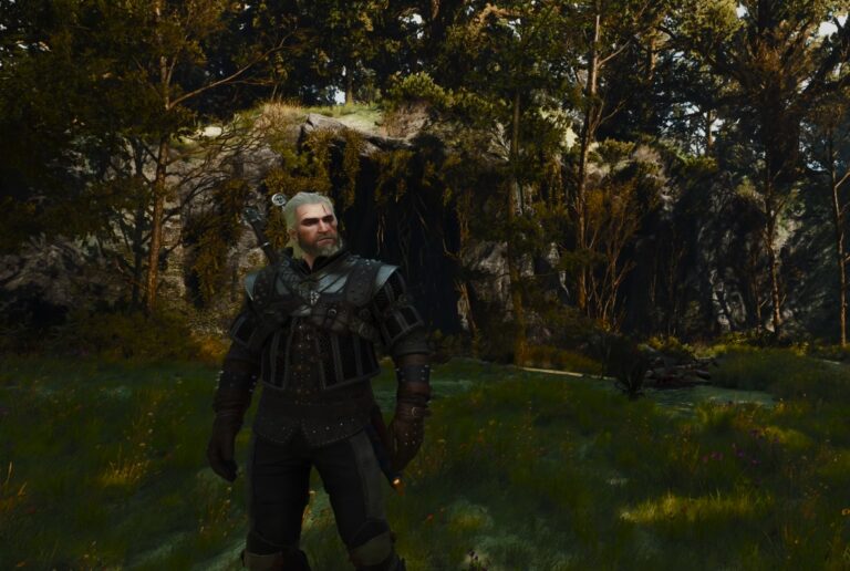 How to get Mastercrafted Ursine Gear in The Witcher 3 (Bear Set) - VULKK.com