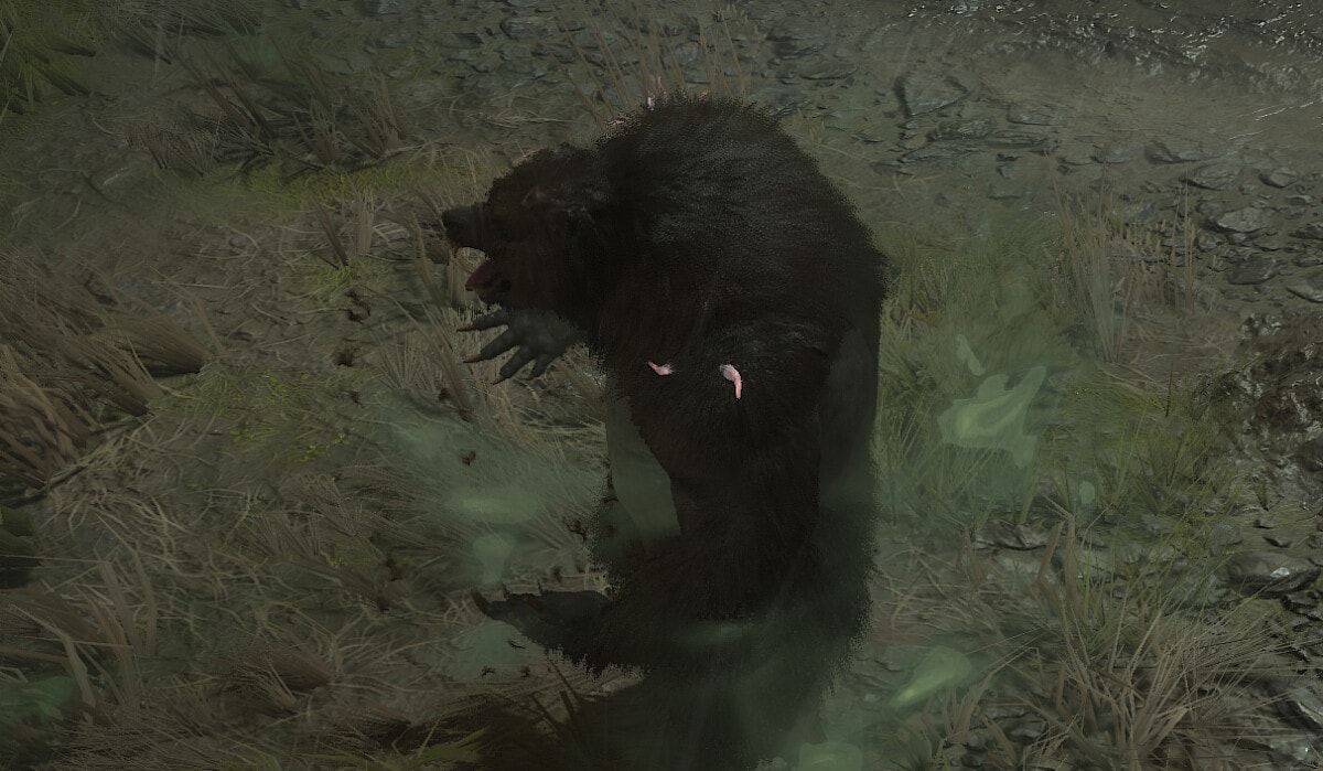 Diablo 4 Fleshrender Druid Build Guide: Toxic Ferocity - VULKK.com