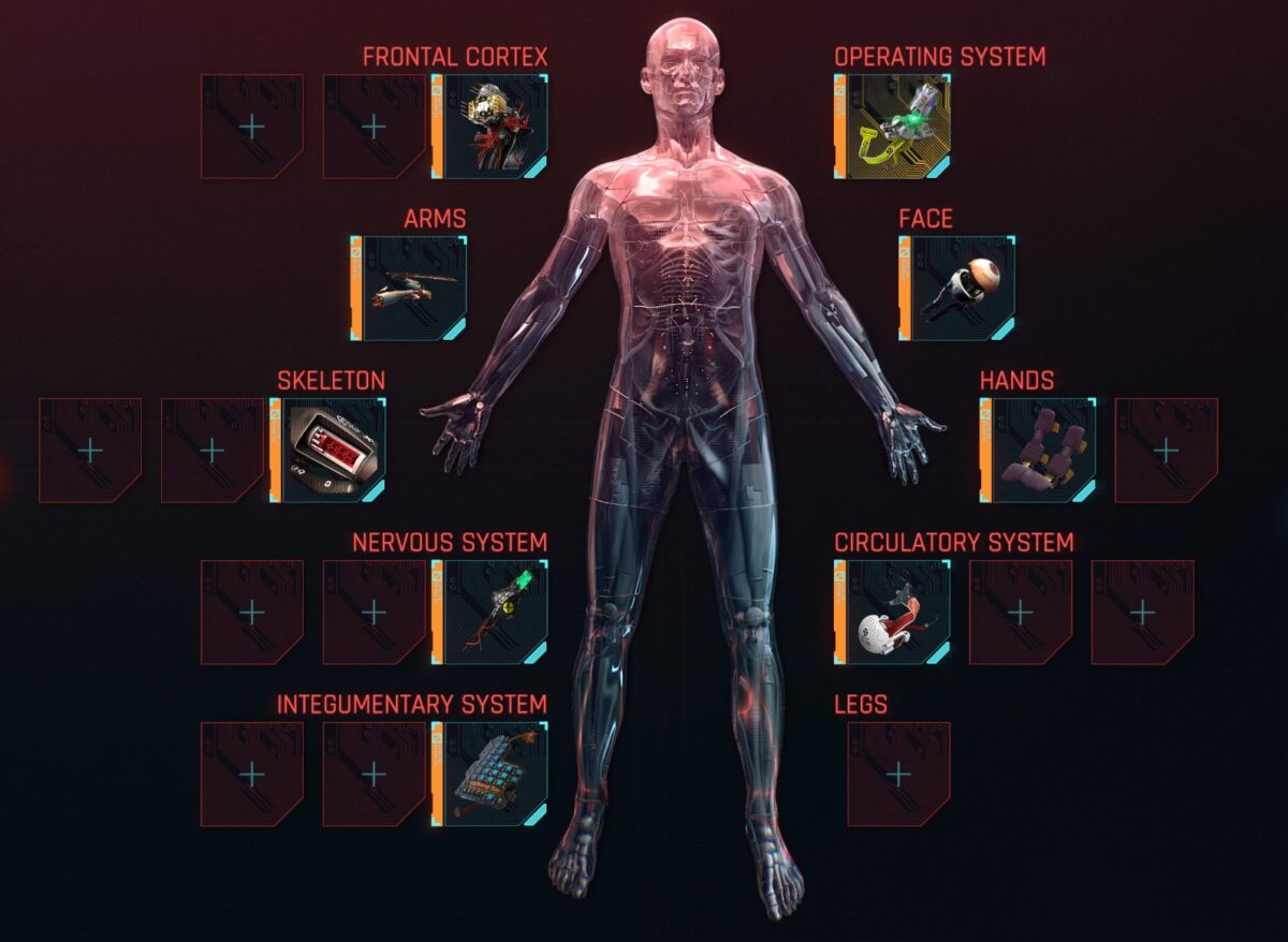 Cyberpunk 2077 Stealth Build: Knives and Mantis Blades Guide - VULKK.com