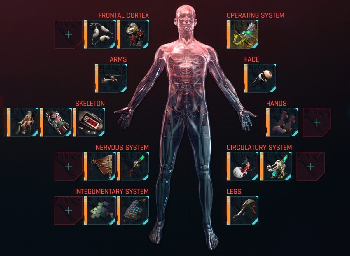 Cyberpunk 2077 Stealth Build: Knives and Mantis Blades Guide - VULKK.com