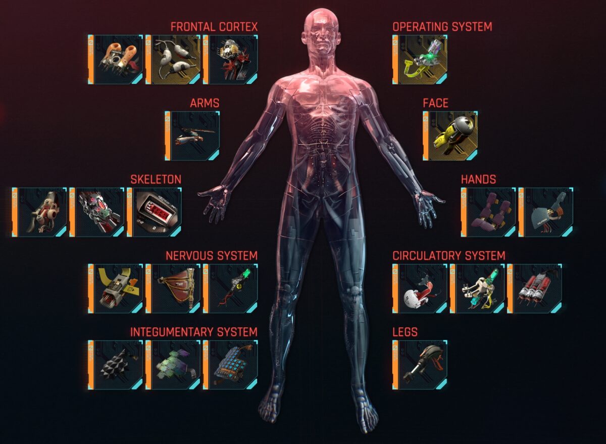 Cyberpunk 2077 Blade Assassin Build Guide for Update 2.12 - VULKK.com