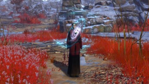 SWTOR Din Djarin (The Mandalorian) Build Guide - VULKK.com