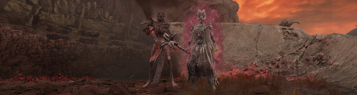 How to Become a Dragon in Elden Ring Shadow of the Erdtree - VULKK.com