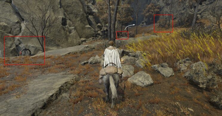 Shadow of the Erdtree Bonny Village and Bonny Gaol: All Unique Item ...