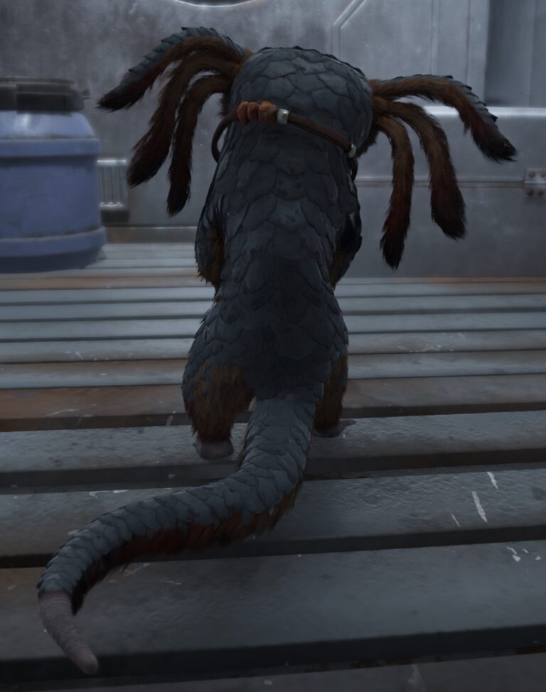 All Nix Accessories in Star Wars Outlaws: Full Catalog and Locations ...