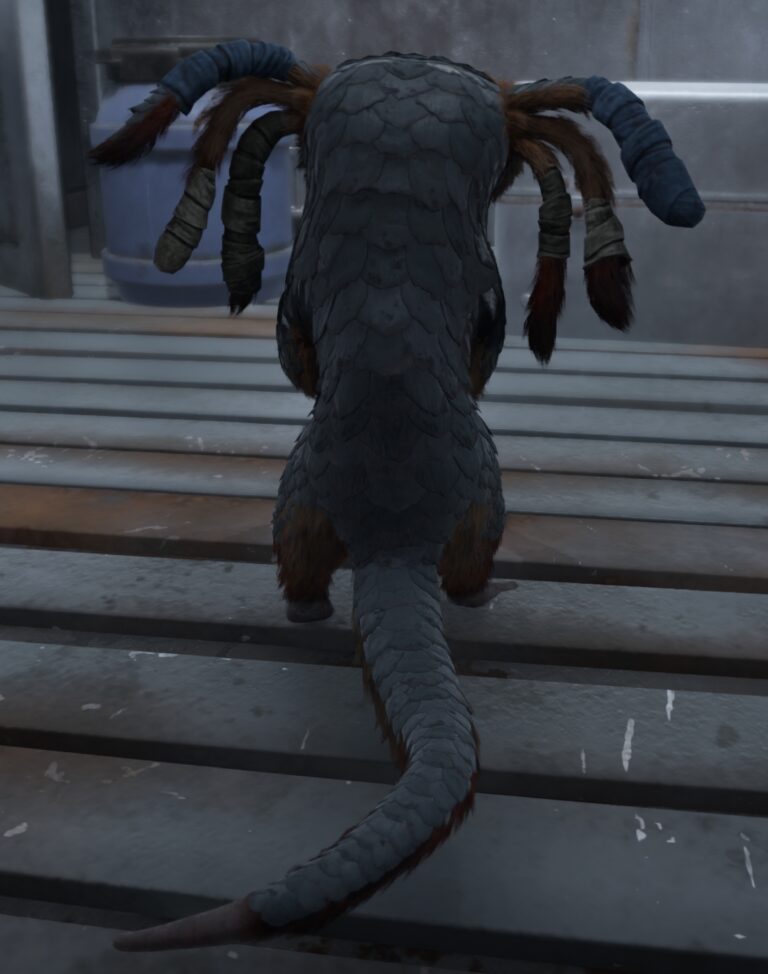 All Nix Accessories in Star Wars Outlaws: Full Catalog and Locations ...