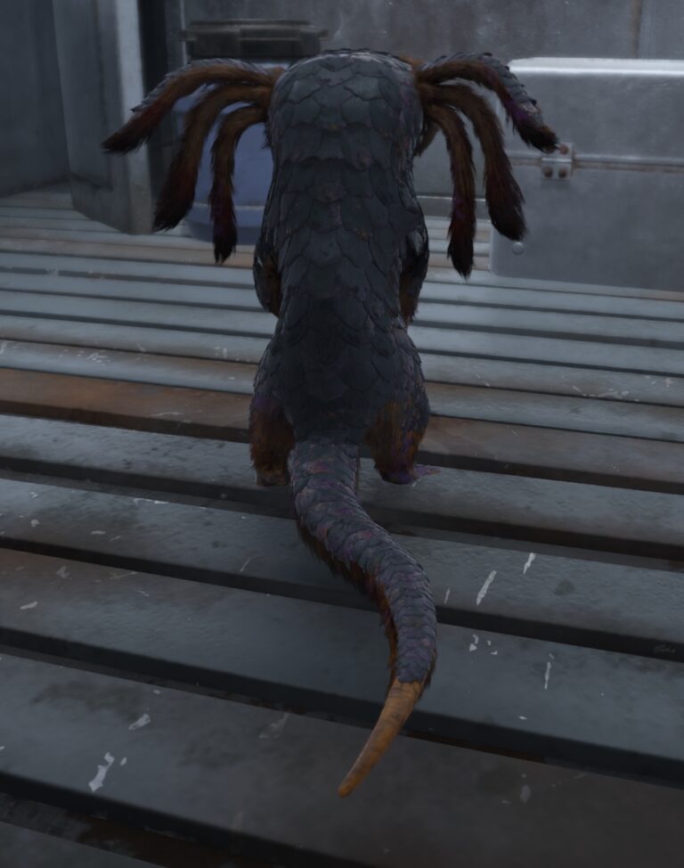 All Nix Accessories in Star Wars Outlaws: Full Catalog and Locations ...