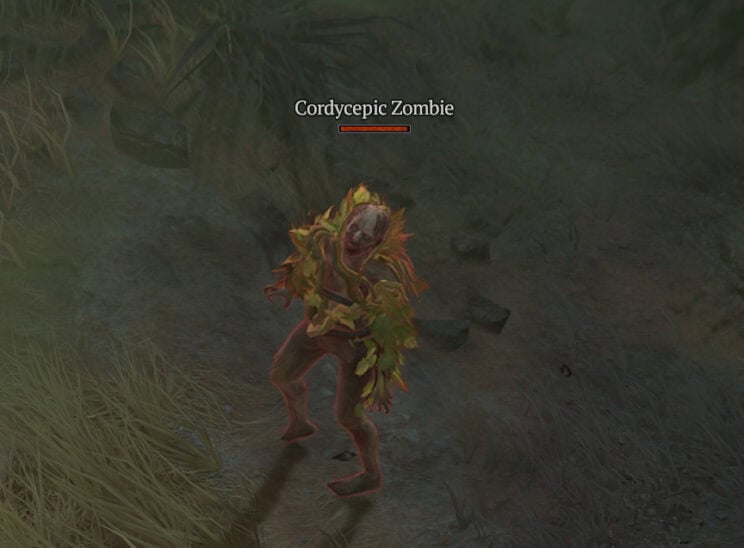 Secrets of Diablo 4: The Secret Cow Level Continues in Season 6 - VULKK.com
