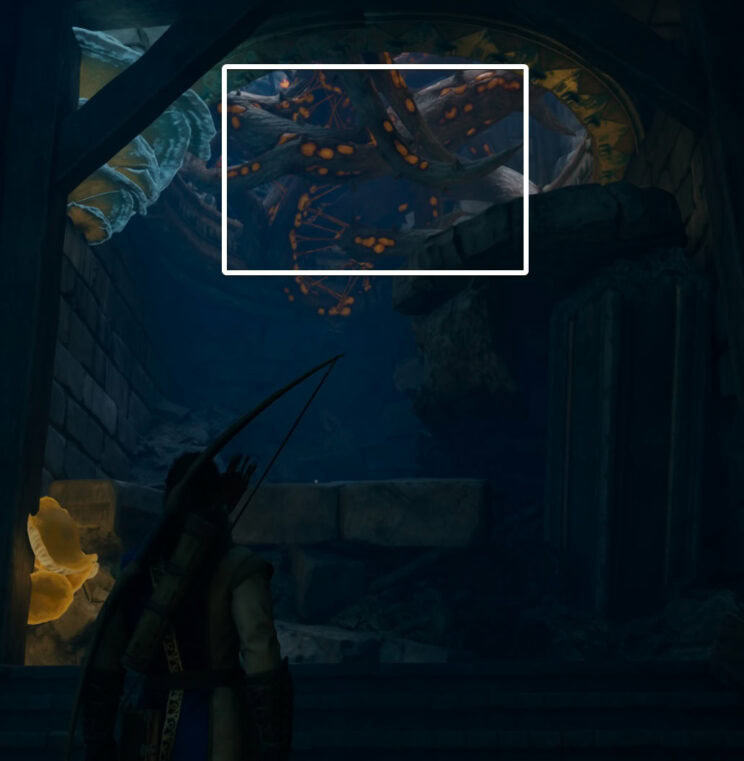 Avowed: All Strangled Adra Locations and Dawnshore Strangled Adra ...