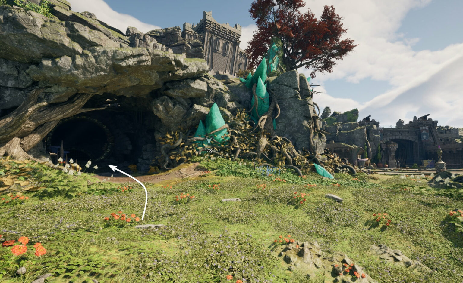 Avowed: All Strangled Adra Locations and Dawnshore Strangled Adra ...