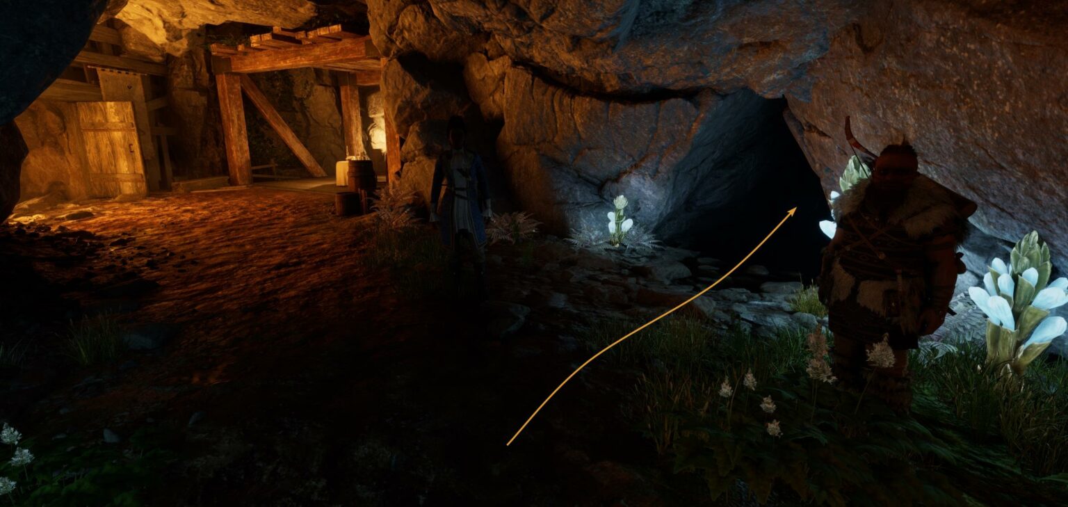 How to get the Death Knight Set in Avowed: Overview and Stats - VULKK.com