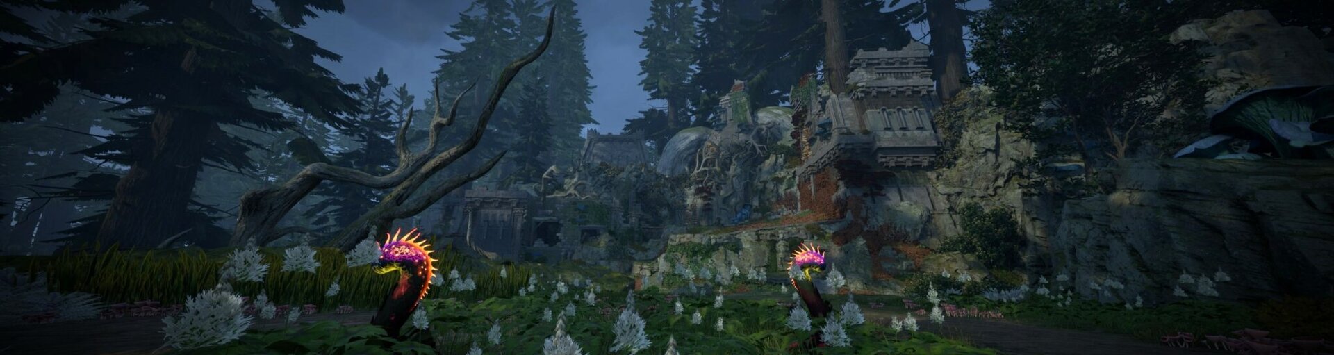 Avowed: Emerald Stair Pargrun Cache Walkthrough - VULKK.com