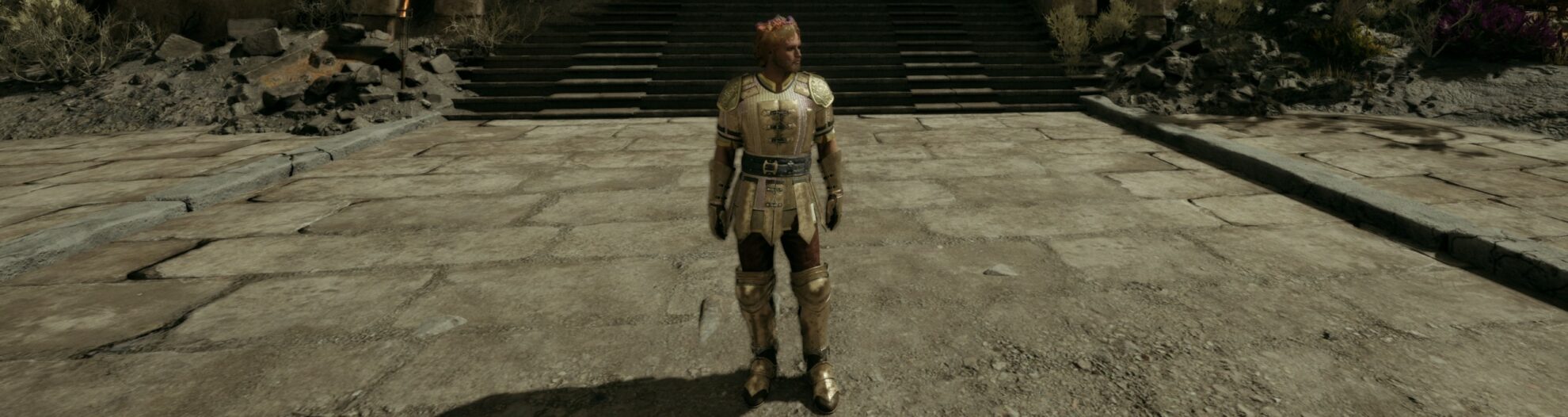 How to get the Sentinel Set in Avowed: Overview and Stats - VULKK.com