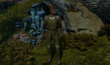 Avowed Companions Guide - VULKK.com
