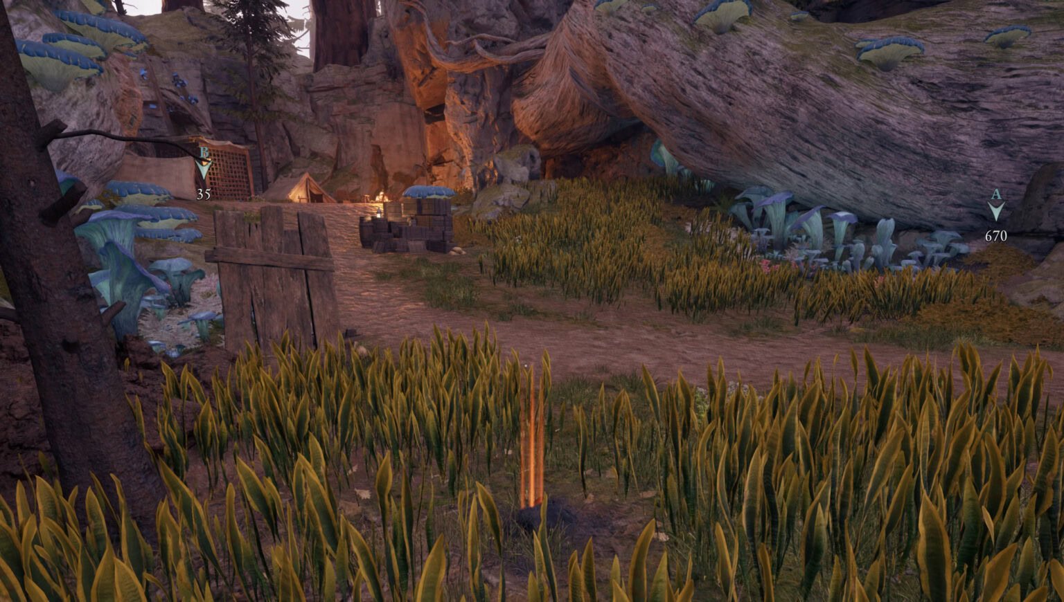 How to get the Tranton Family Set in Avowed: Overview and Stats - VULKK.com