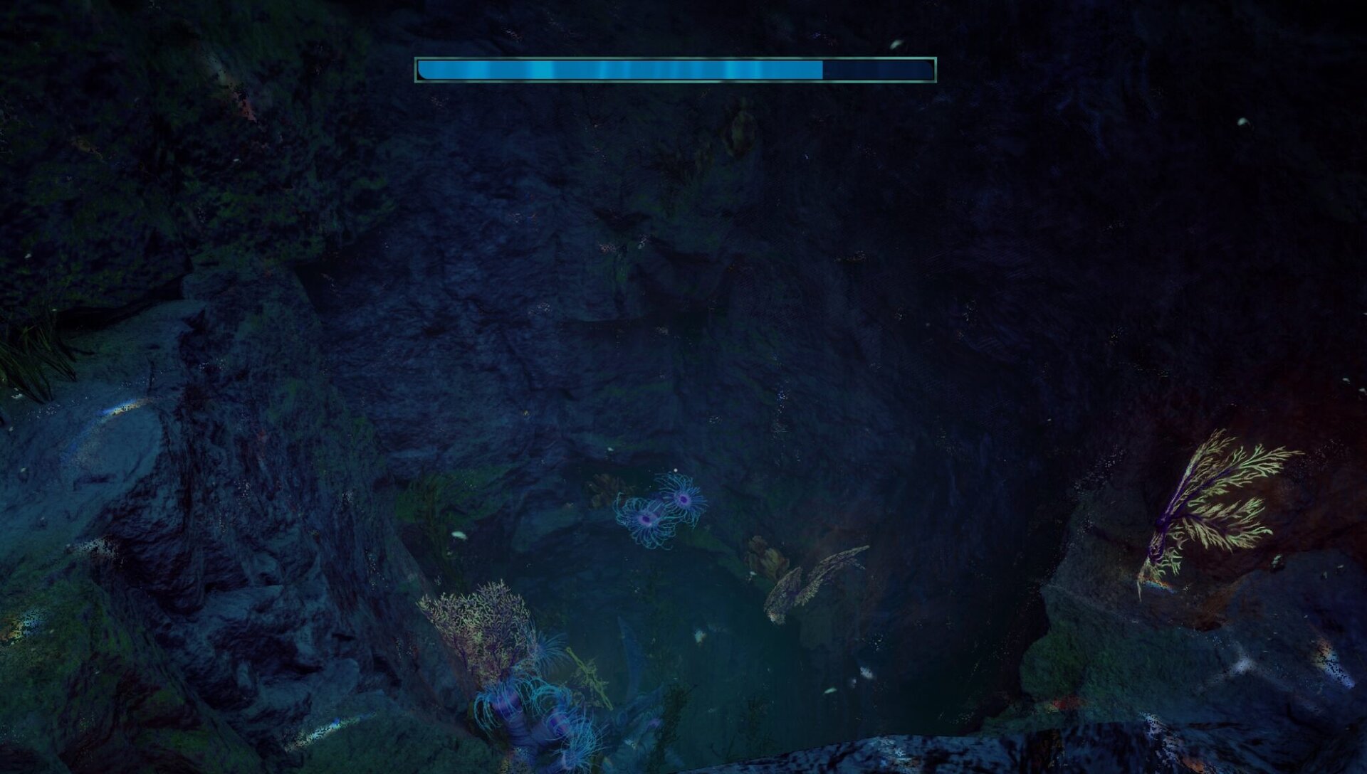 Avowed: All Unique Items in the Garden - VULKK.com