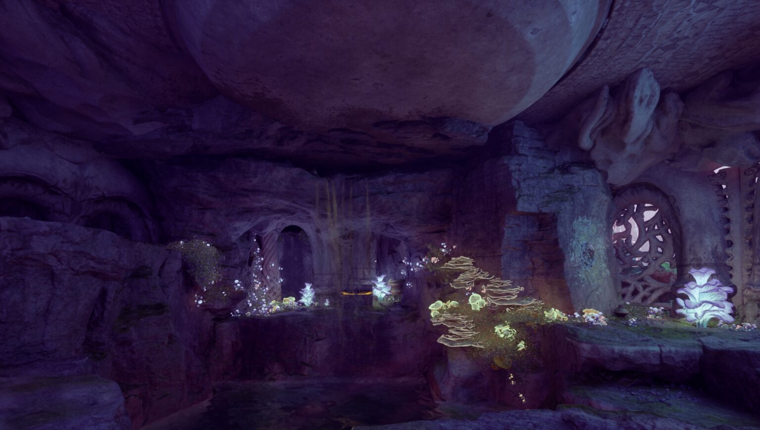 How to get the Wildwalker Set in Avowed: Overview and Stats - VULKK.com